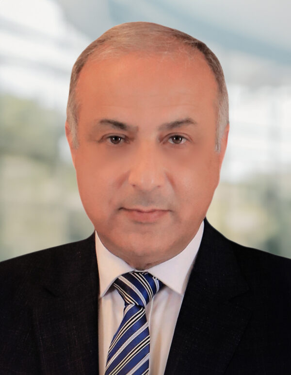 Mohamed Hossam El-Din El-Sayed El-Malahy - Badya University